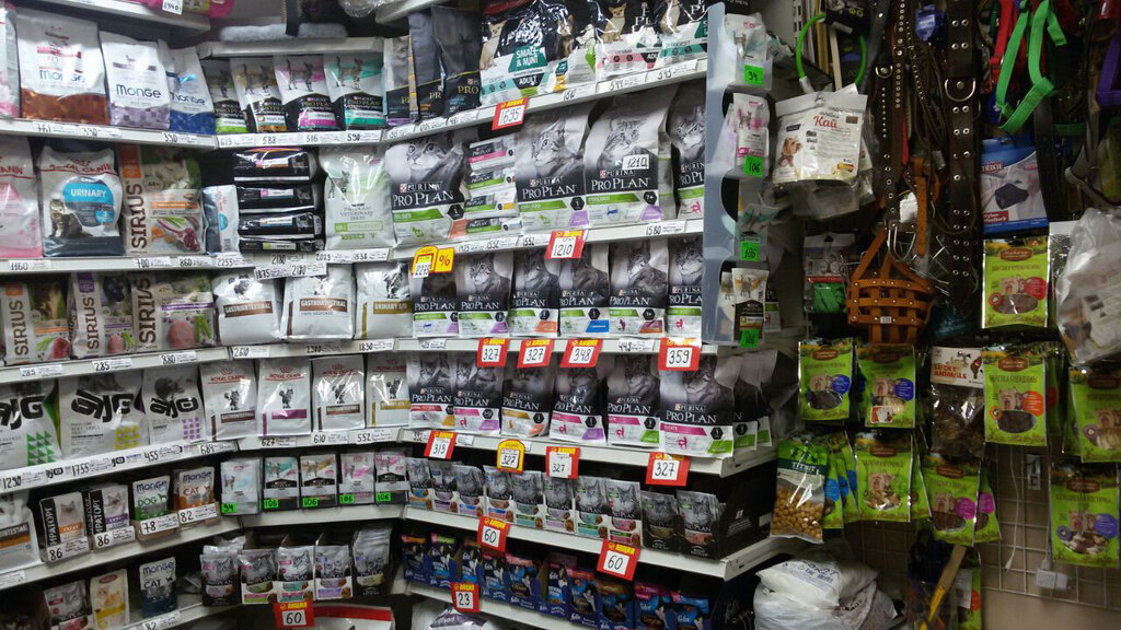 Petshop Носики, Saint‑Petersburg, foto