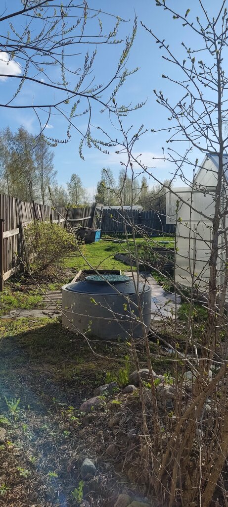 Pınar, çay Spring, stream, Pavlovsk, foto