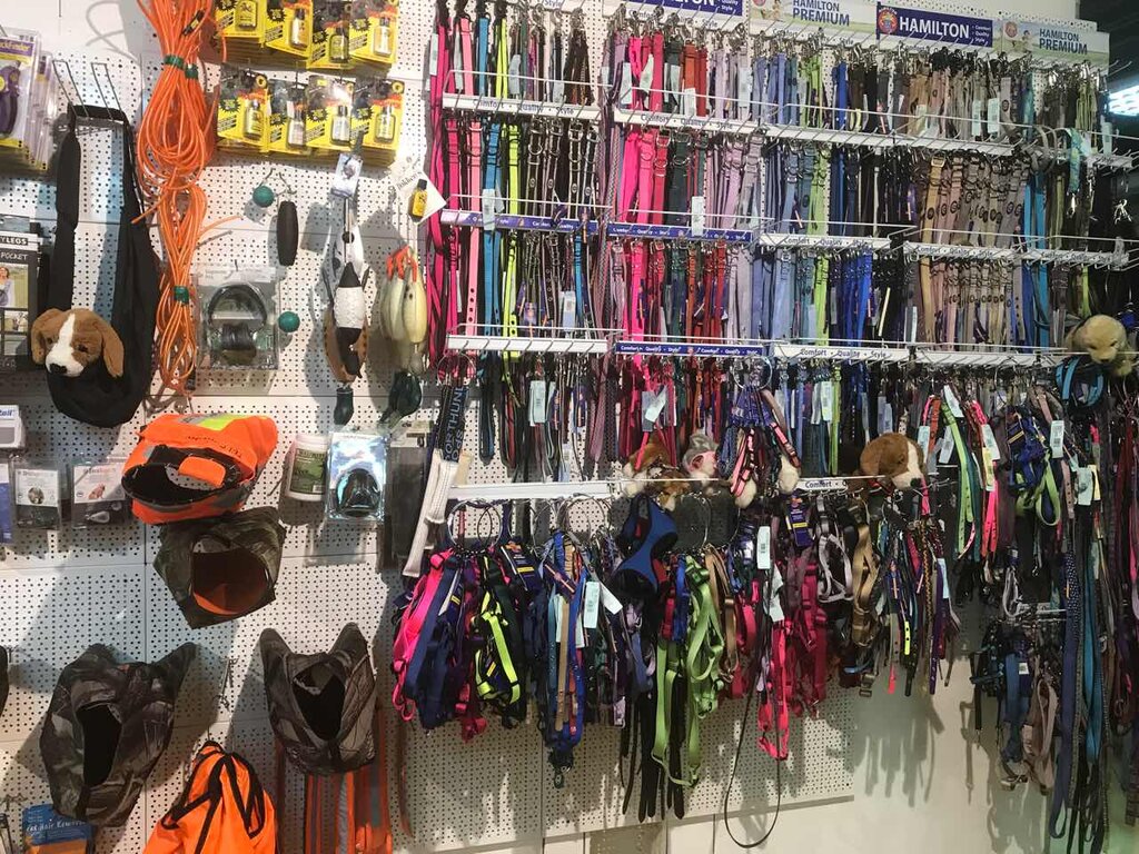 Petshop Pettra, Moskova, foto