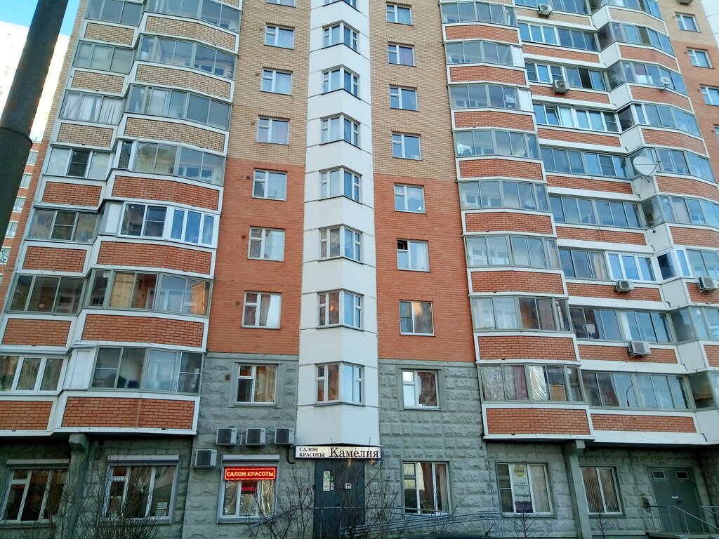 Güzellik salonu Kamelia, Moskovski, foto