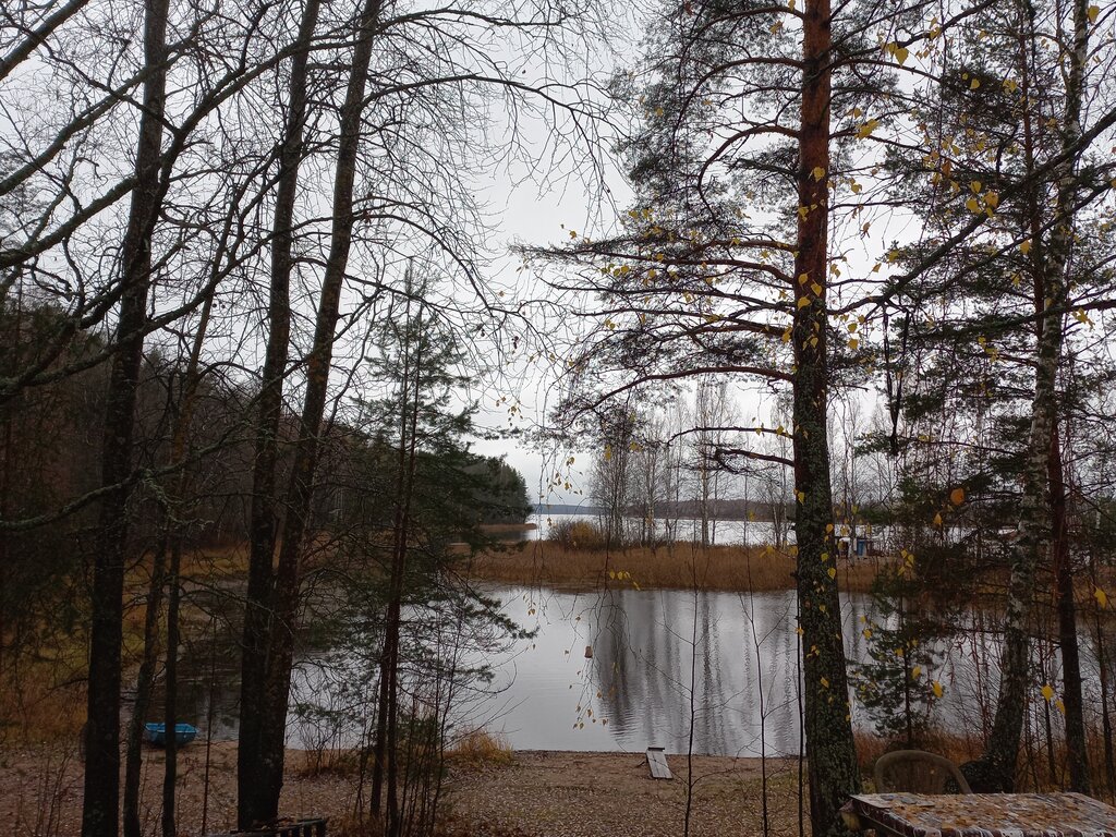 Bahçecilik dernekleri ve kuruluşları Dachnoye nekommercheskoye partnerstvo Vuoksa plyus UK, Saint‑Petersburg ve Leningradskaya oblastı, foto