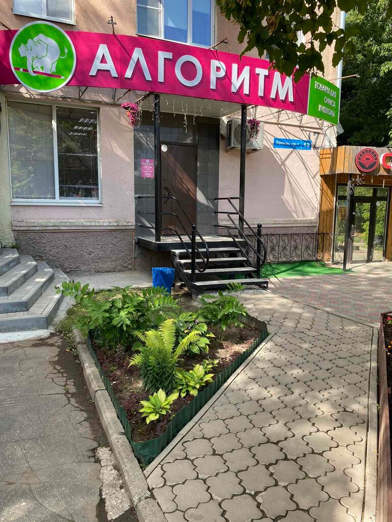 Kırtasiyeler Algoritm, Vladimir, foto