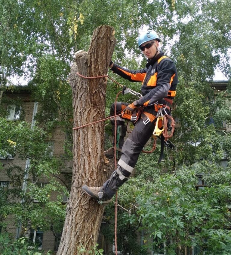 Şehir planlama Spil Dereviev, Rostov‑na‑Donu, foto