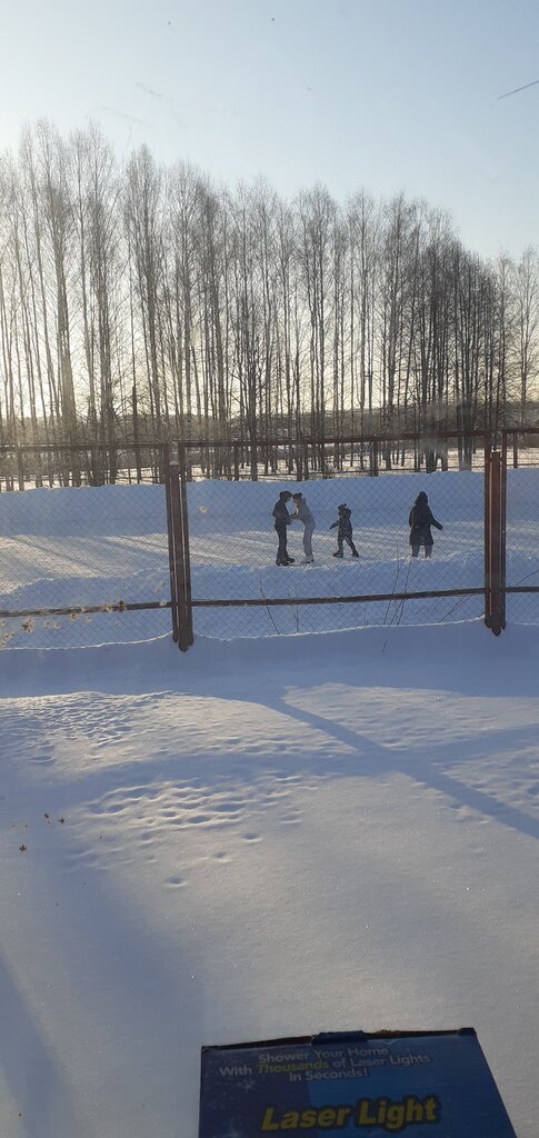 Parklar ve ormanlar Кедровый парк, Vologodskaya oblastı, foto