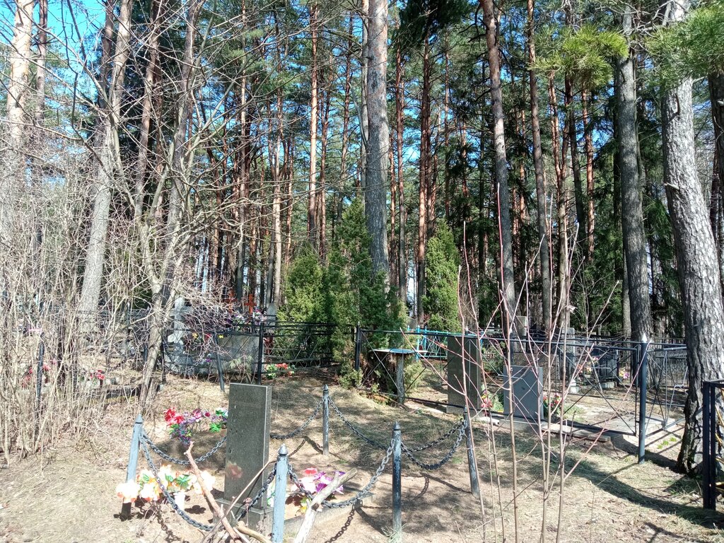 Mezarlıklar Kapishchanskija mogilki, Minskaya oblastı, foto