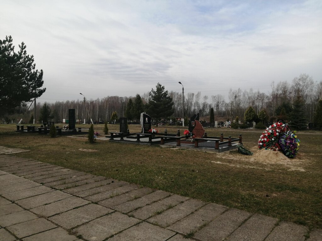 Mezarlıklar Витебское городское кладбище Копти, Vitebskaya oblastı, foto