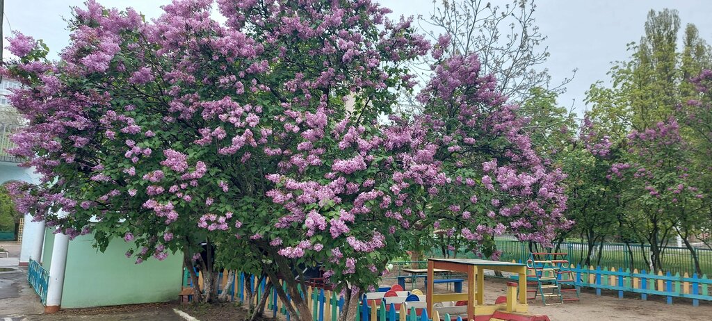 Anaokulları Detsky sad Ugolek, Volgodonsk, foto