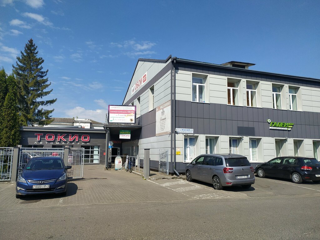 Otomobil yedek parçaları Salon Tokio, Gomel, foto