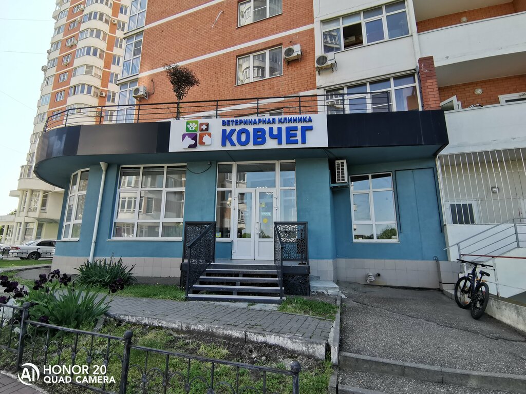 Veteriner klinikleri Ковчег, Krasnodar, foto