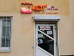Ryzhy kot (Bratskiy Lane No:44), petshop  Rostov‑na‑Donu'dan