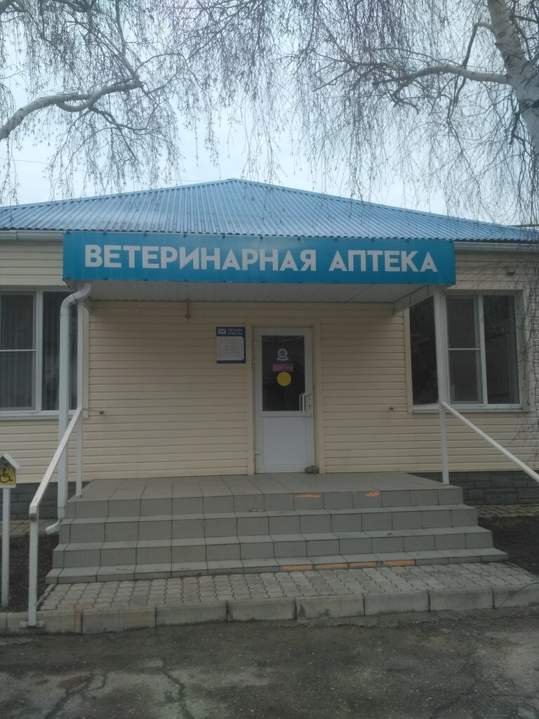 Veteriner klinikleri Кот и пес, Yeysk, foto