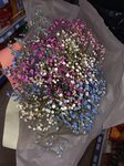 Цветы (Belgorod Region, Shebekino, Oktyabrskaya ulitsa), çiçek teslimatı  Shebekino'dan