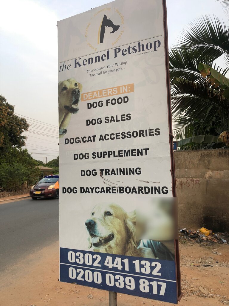 Petshop The Kennel pet shop, Dünya, foto