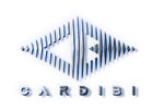 Cardibi (Zhukov Drive No:19), tuning  Moskova'dan