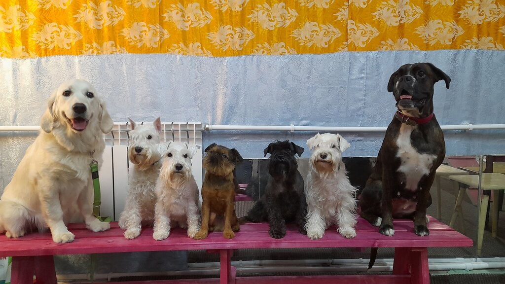 Hayvanat bahçesi merkezi Макналис, Koriajma, foto