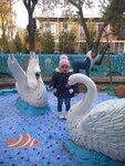 Kinderergarde № 308 (Tashkent, Yashnabad City District, Citizen assemblies of Jarqurgon Mahallah), anaokulları  Taşkent'ten