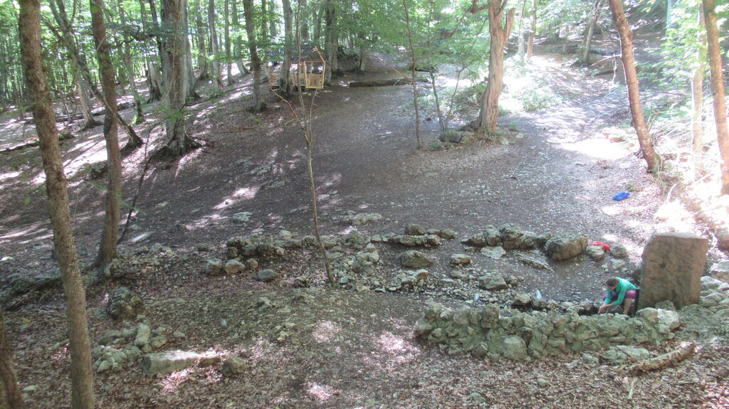 Pınar, çay Родник Партизанский, Kırım Cumhuriyeti, foto