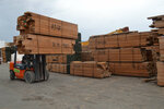Wood general trading company (Hamriya Free Zone, Al Hamriyah, Sharjah), kereste üretim ve satış şirketleri