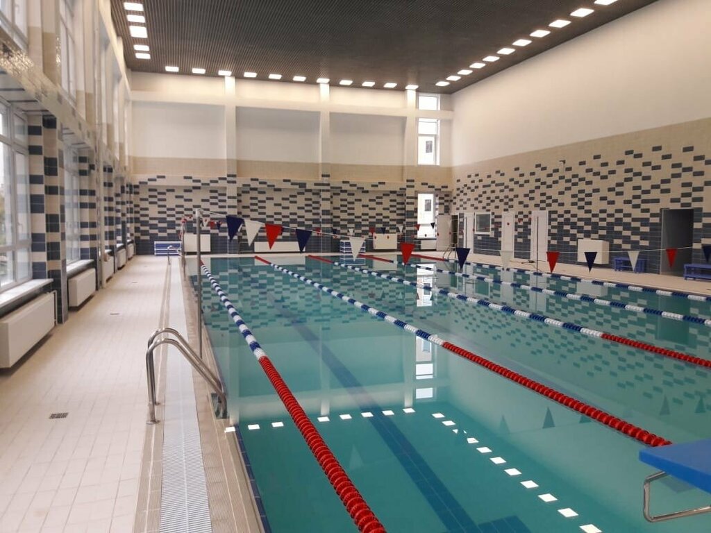 Yüzme havuzları Swimming pool at school 693, Saint‑Petersburg, foto