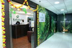 Kottakkal Green Life Ayurvedic Center (Mozna Building, Al Qusais 1, Deira, Dubai), sağlık merkezleri  Dubai'den