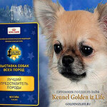 Golden iz Life (5th Sokolinoy Gory Street No:23к2), evcil hayvan yetiştiricileri  Moskova'dan