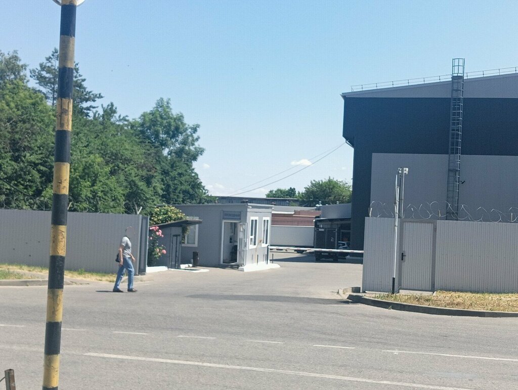 Mantar yetiştirme ve satış Gribnoydom, Stavropol, foto