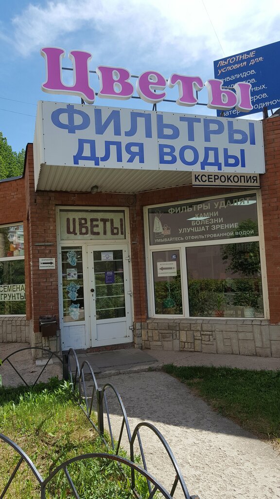 Çiçekçiler Цветы у дома, Tolyatti (Togliatti), foto