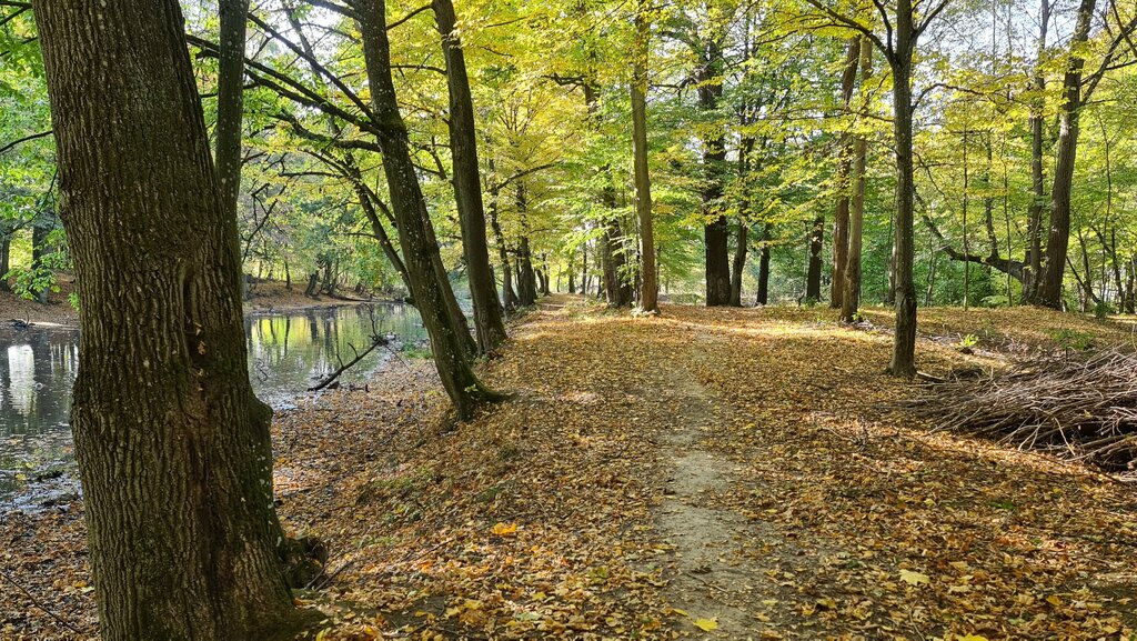 Kültür ve eğlence parkları парк Ветеранов, Kaliningrad, foto