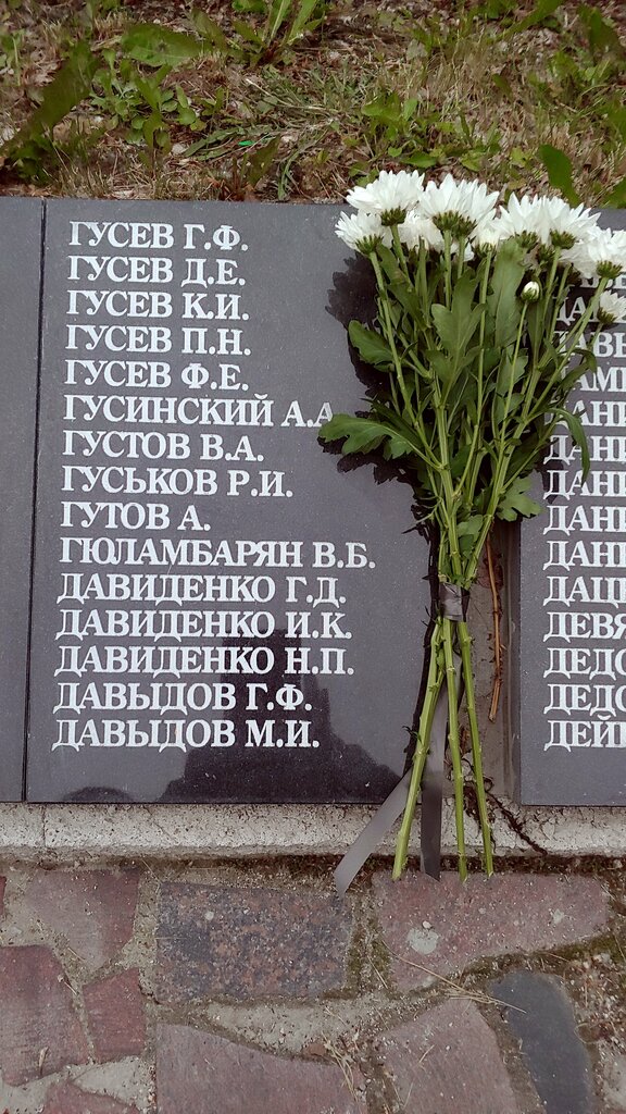 Anıt, heykel Братская могила, Suoyarvi, foto