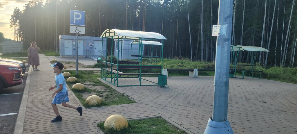 Yol kenarı dinlenme alanı Придорожная зона отдыха, Novgorodskaya oblastı, foto