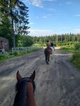 Nega Equestrian Sports Complex (Lesnoy Avenue No:3), at ve binicilik kulüpleri  Petrozavodsk'tan