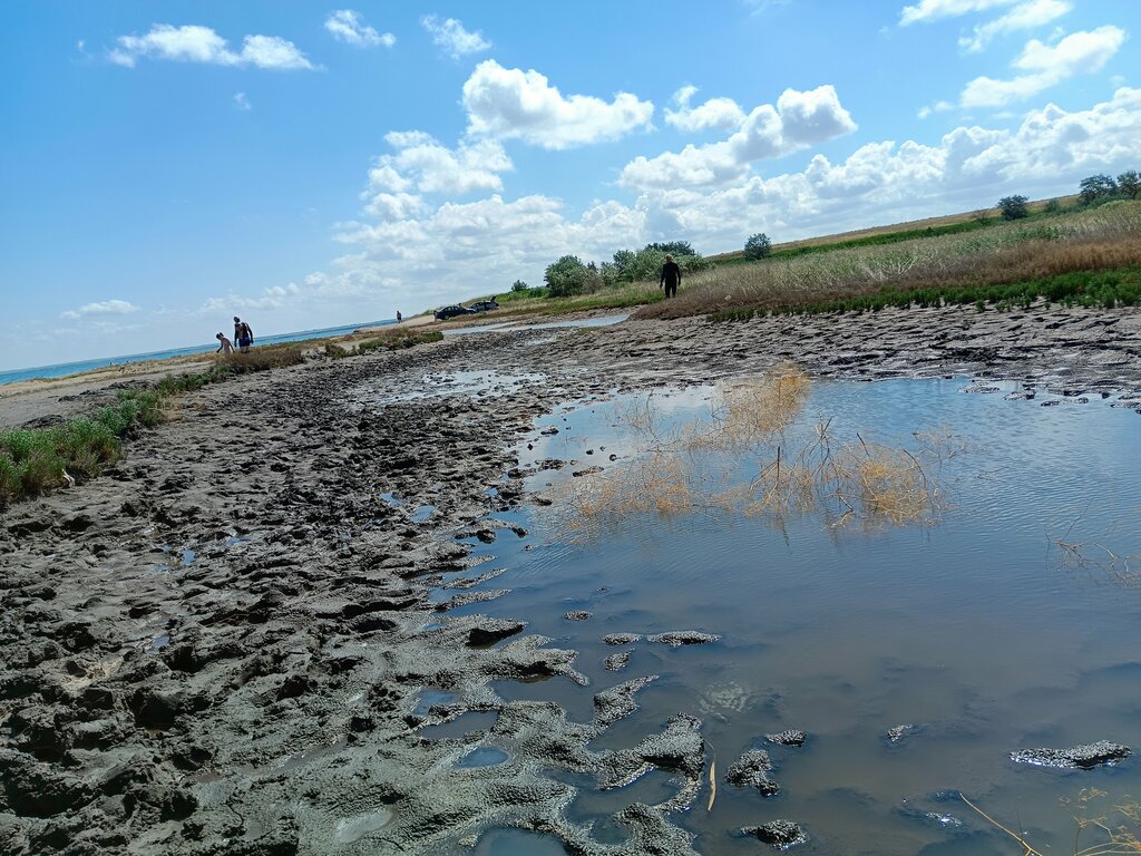 Pınar, çay Spring, stream, Altayski krayı, foto