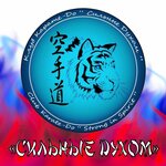 Strong in spirit (Krasnoznamenskaya ulitsa No:24), spor kulüpleri  Şçolkovo'dan