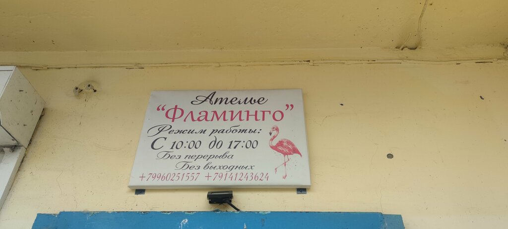 Terziler Фламинго, Borzia, foto