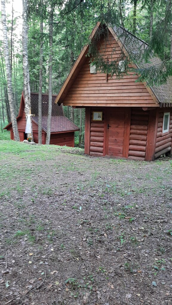 Orman işleri Дунайковское, Mogiliovskaya oblastı, foto