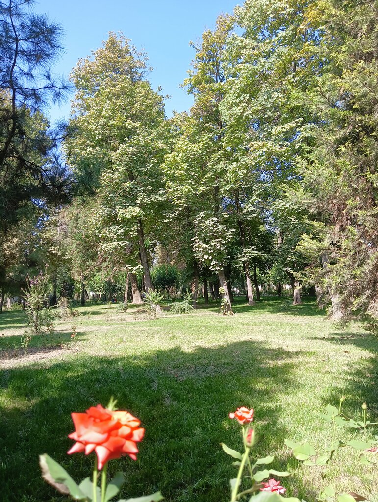 Anıt, heykel Sergey Kirov Anıtı, Duşanbe, foto