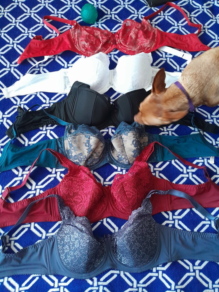 i̇ç giyim ve mayo mağazası Моё бельё, Saint‑Petersburg, foto