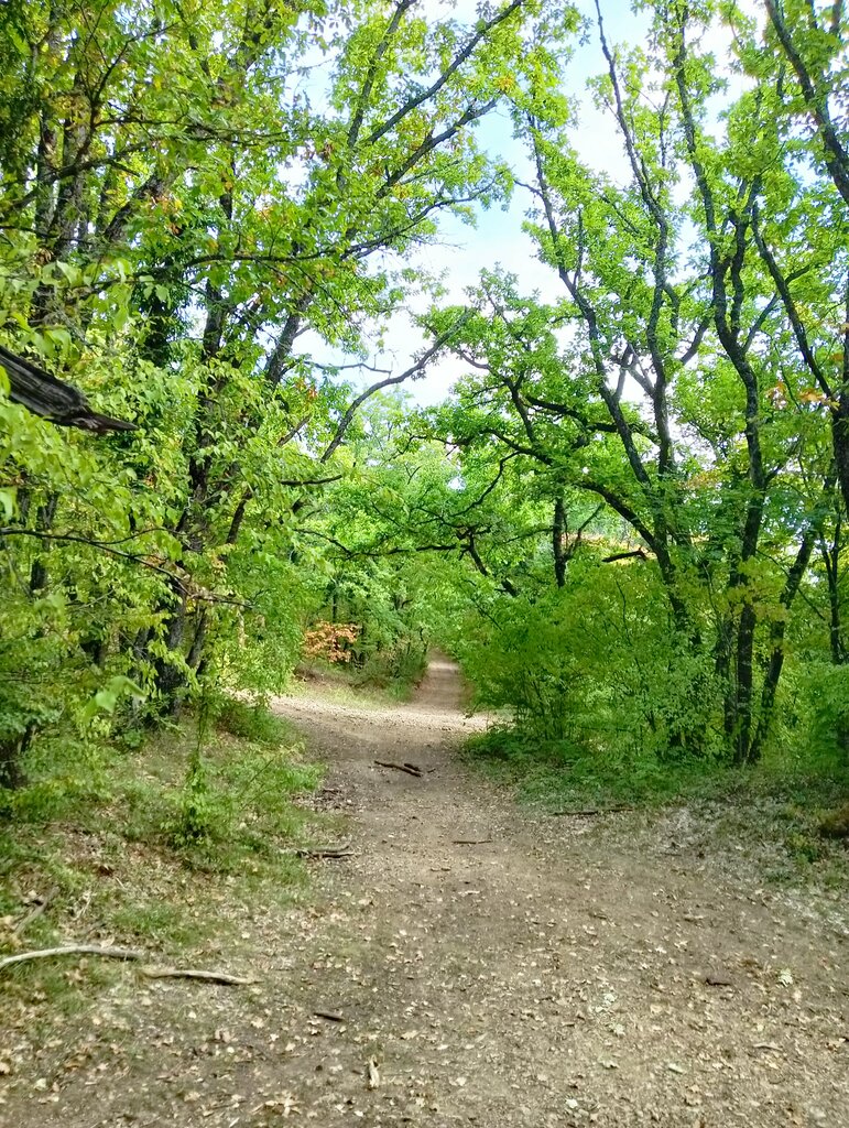 Dağ geçidi Перевал Чирка-Богаз, Sevastopol, foto