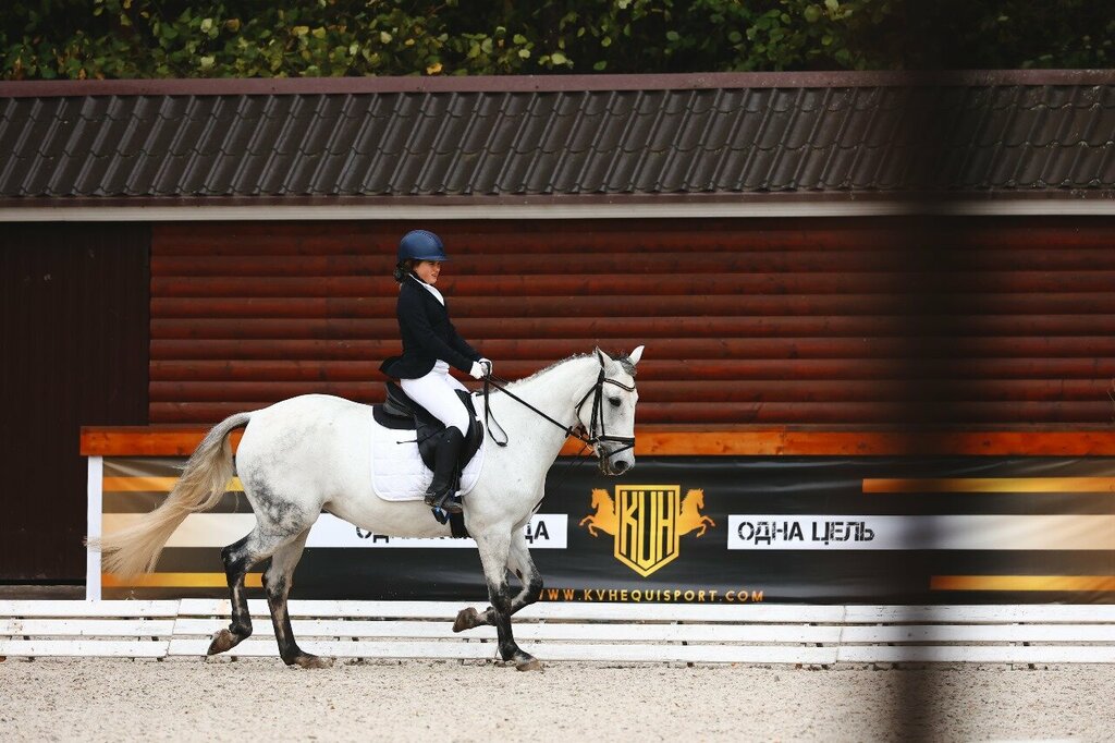 Binicilik ürünleri K V H Equisport, Erivan, foto