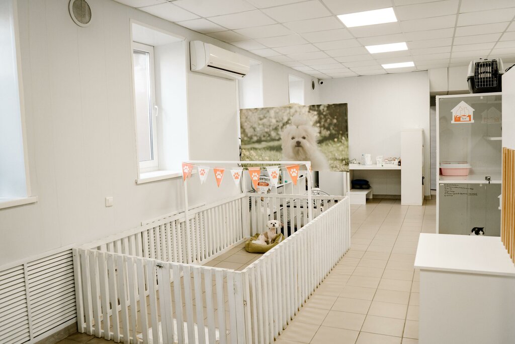 Pet otel Sovsem kak doma, Çeliabinsk, foto