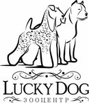 Lucky Dog (Akademika Anokhina Street No:46сА, Moscow), hayvanlar için yüzme havuzu  Moskova'dan
