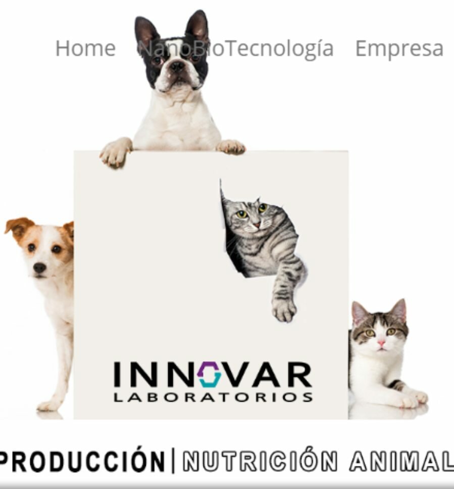 Market Laboratorio Innovar, , foto