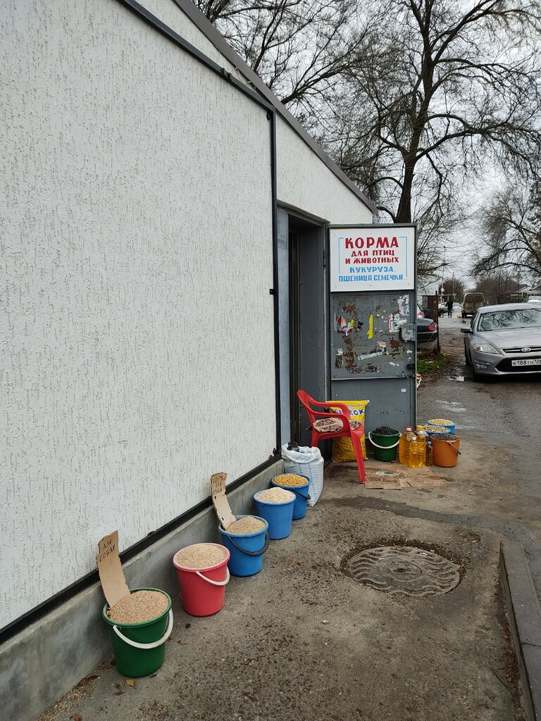 Yem ve yem katkı maddeleri Корма всех видов, Mineralniye Vodi, foto