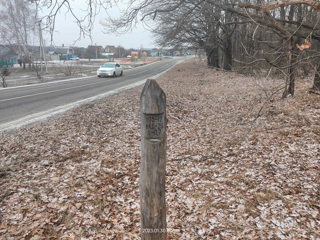 Orman урочище Заубля, Belgorodskaya oblastı, foto