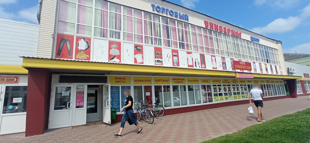 Mini-market Смешанные товары, Brianskaya oblastı, foto