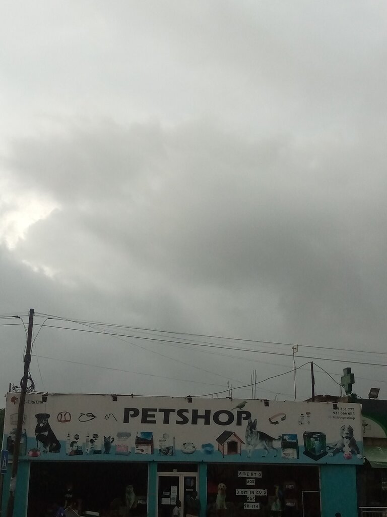 Petshop Pet shop Futungo, Loanda, foto
