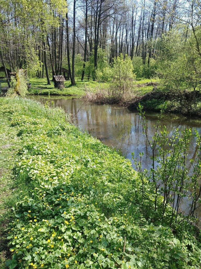 Doğa koruma alanı природный заказник Долина реки Котёл, Stariy Oskol, foto