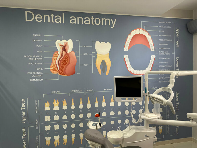 Özel ağız ve diş sağlığı klinikleri ve muayenehaneleri Ozel AL Ağız ve Diş Sağlığı Polikliniği, İstanbul, foto