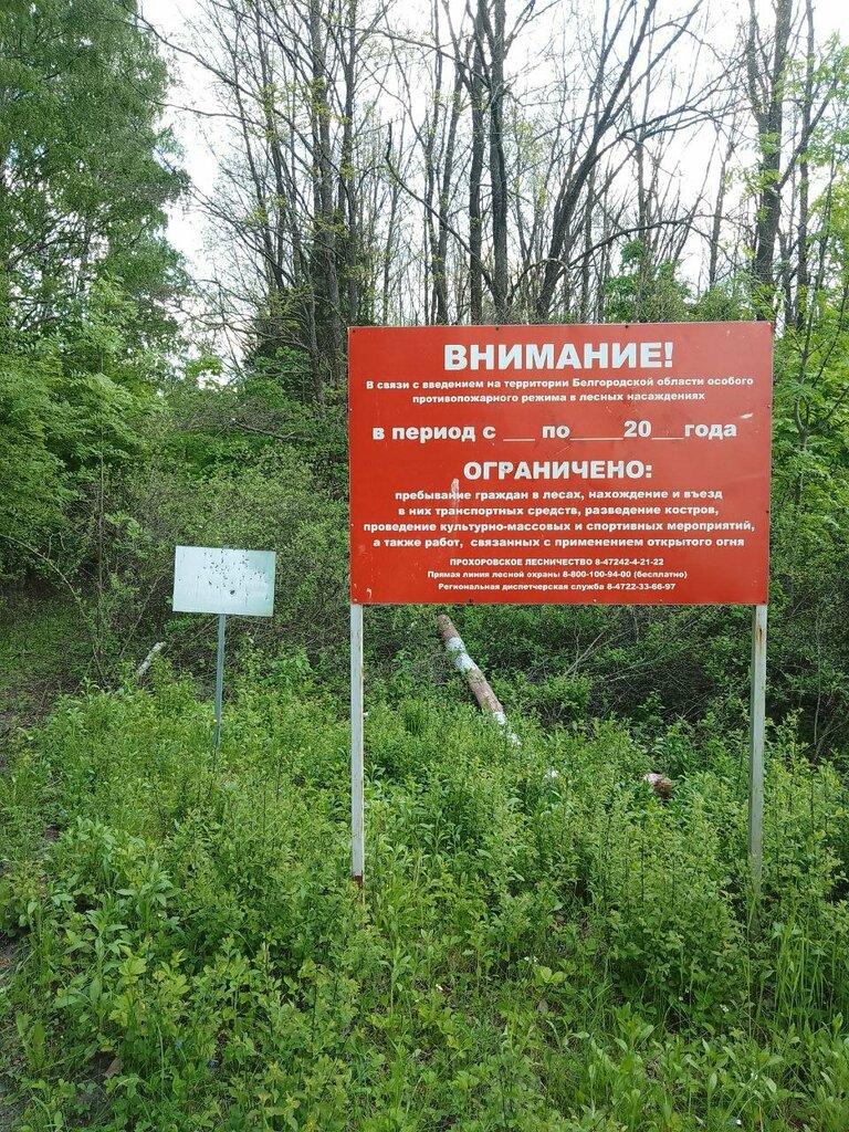 Orman урочище Маленькое-Сорное, Belgorodskaya oblastı, foto