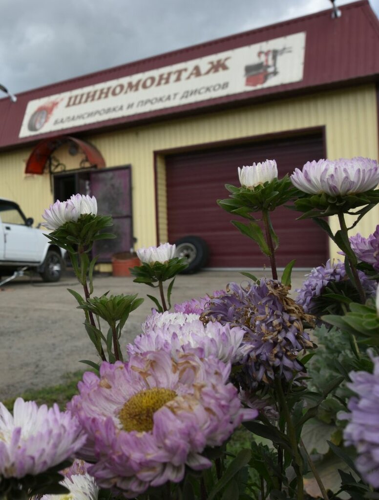 Oto lastik tamiri Шиномонтаж, Omskaya oblastı, foto